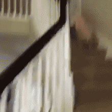 About Us | Event Agency London Event Management | Penguins